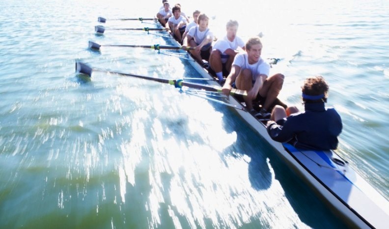 High Performing Teams - ProFormance